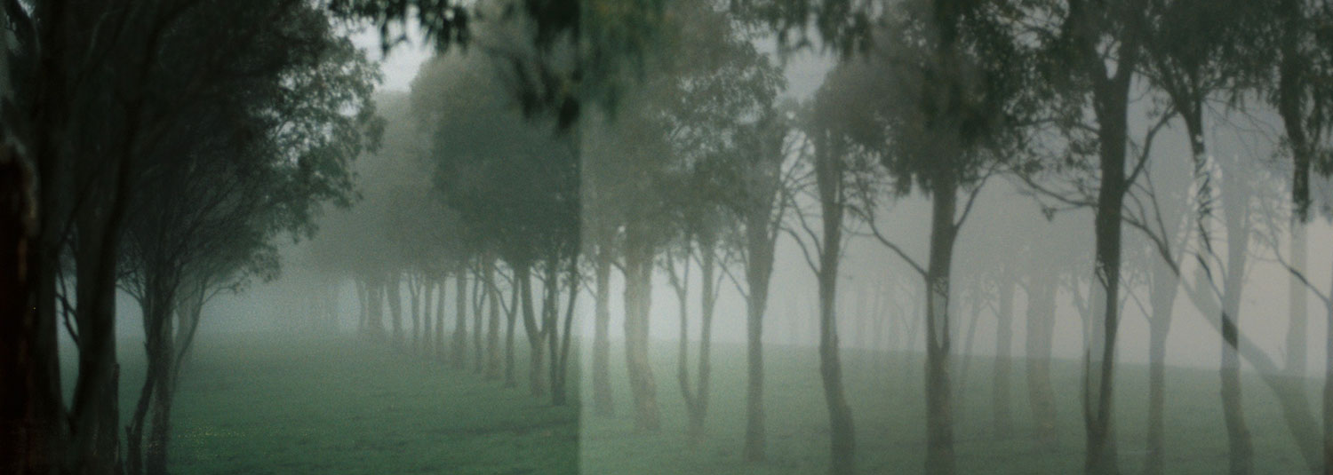 David Hume – Australian Visual Artist